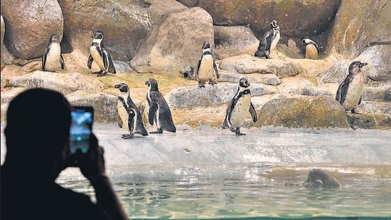 Byculla zoo’s exotic zone to be upgraded soon