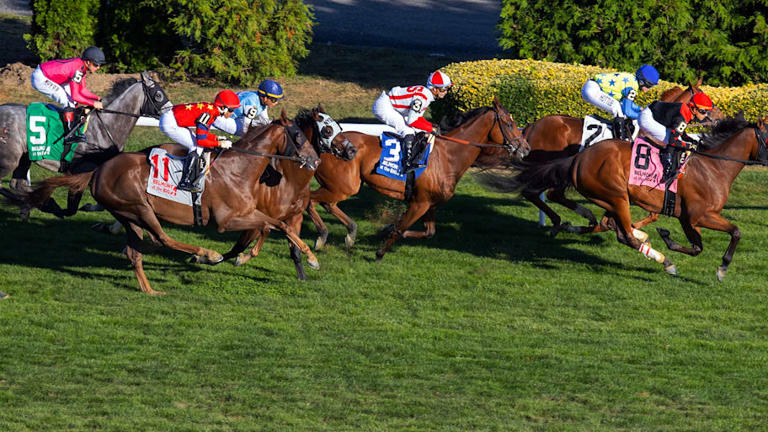Race of the day for December 6th: Aqueduct’s 10th race