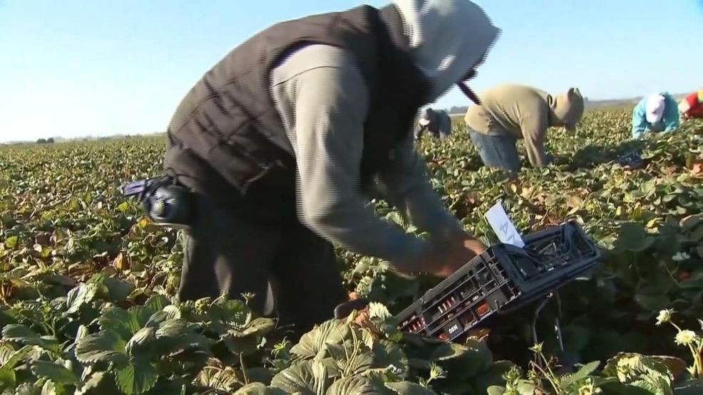 Trump administration advances plan to boost water for Central Valley ...