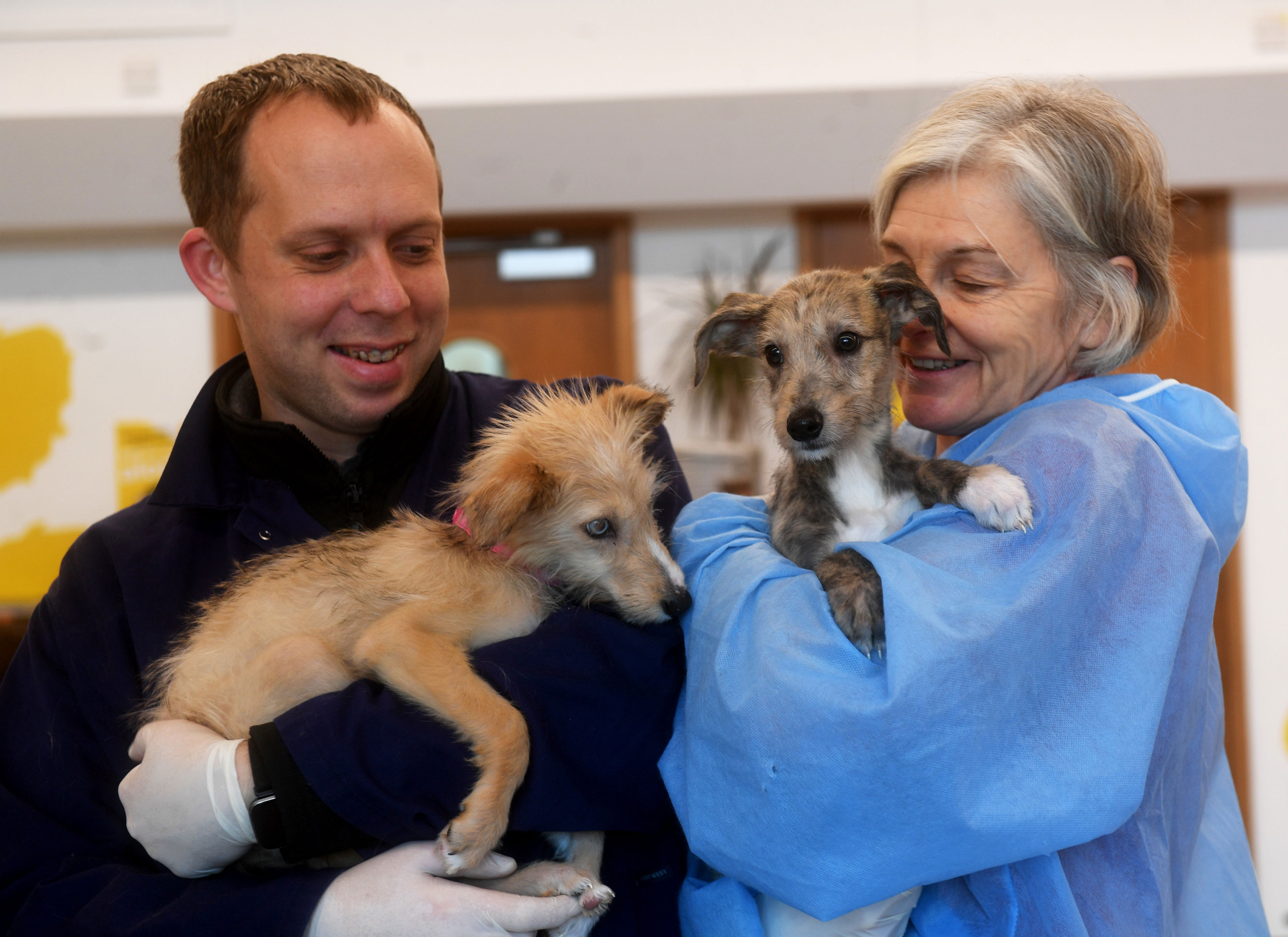 'Generation of broken dogs': How Leeds Dogs Trust is giving canines a ...