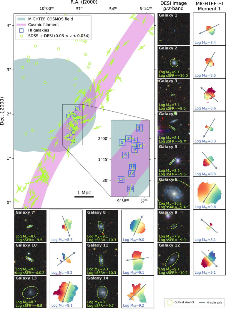 At 50 million-light-years long, scientists discover one of the universe ...