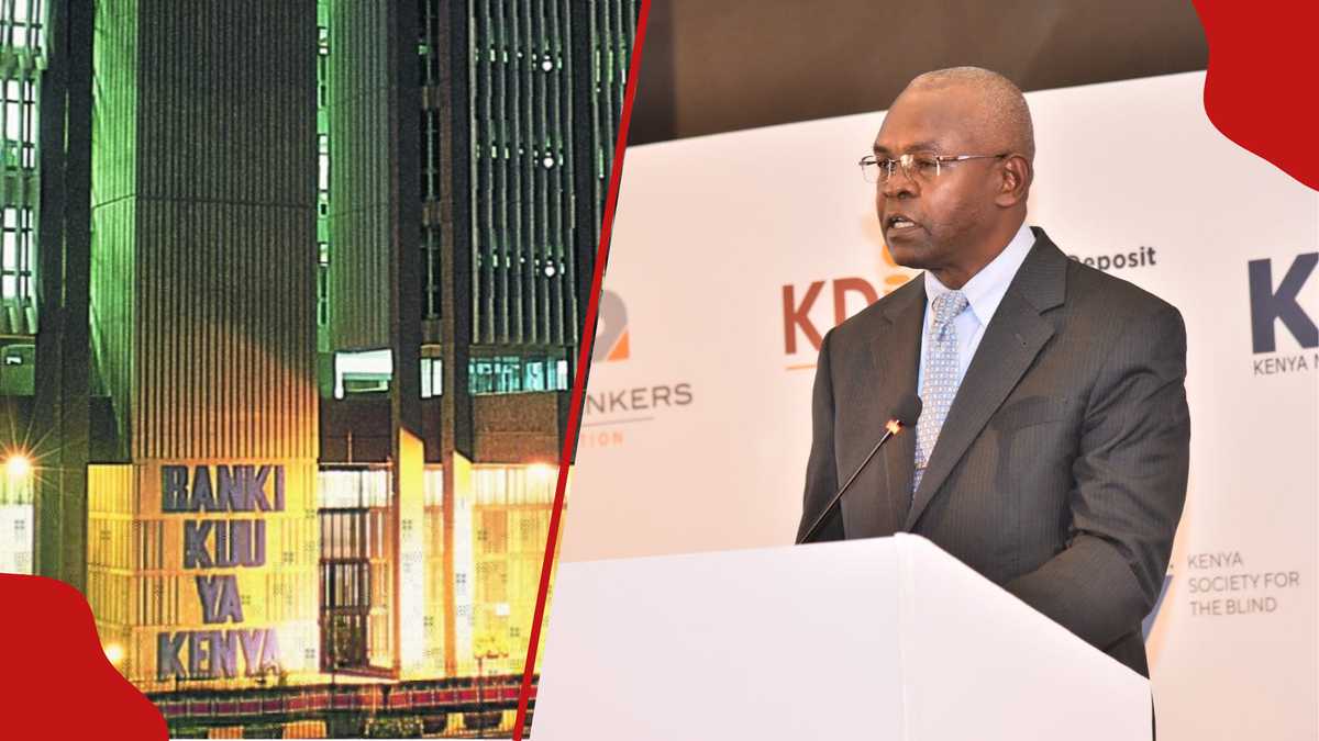 Central Bank of Kenya announces jobs for degree holders, sets ...