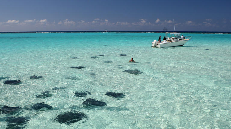 Why some tourists may not enjoy this iconic Grand Cayman activity ...