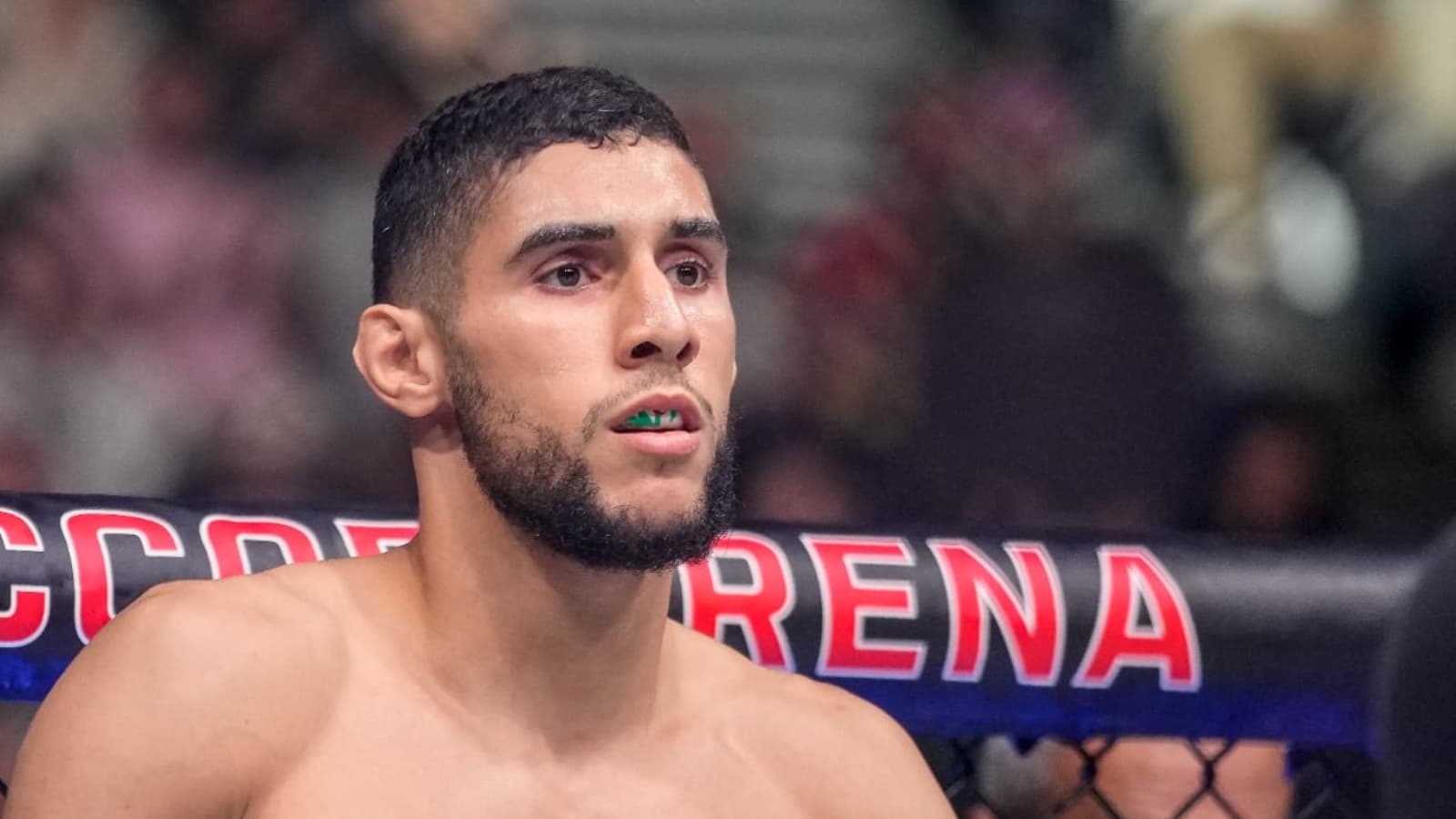 Farès Ziam - Nazim Sadykhov : à quelle heure et sur quelle chaîne ...