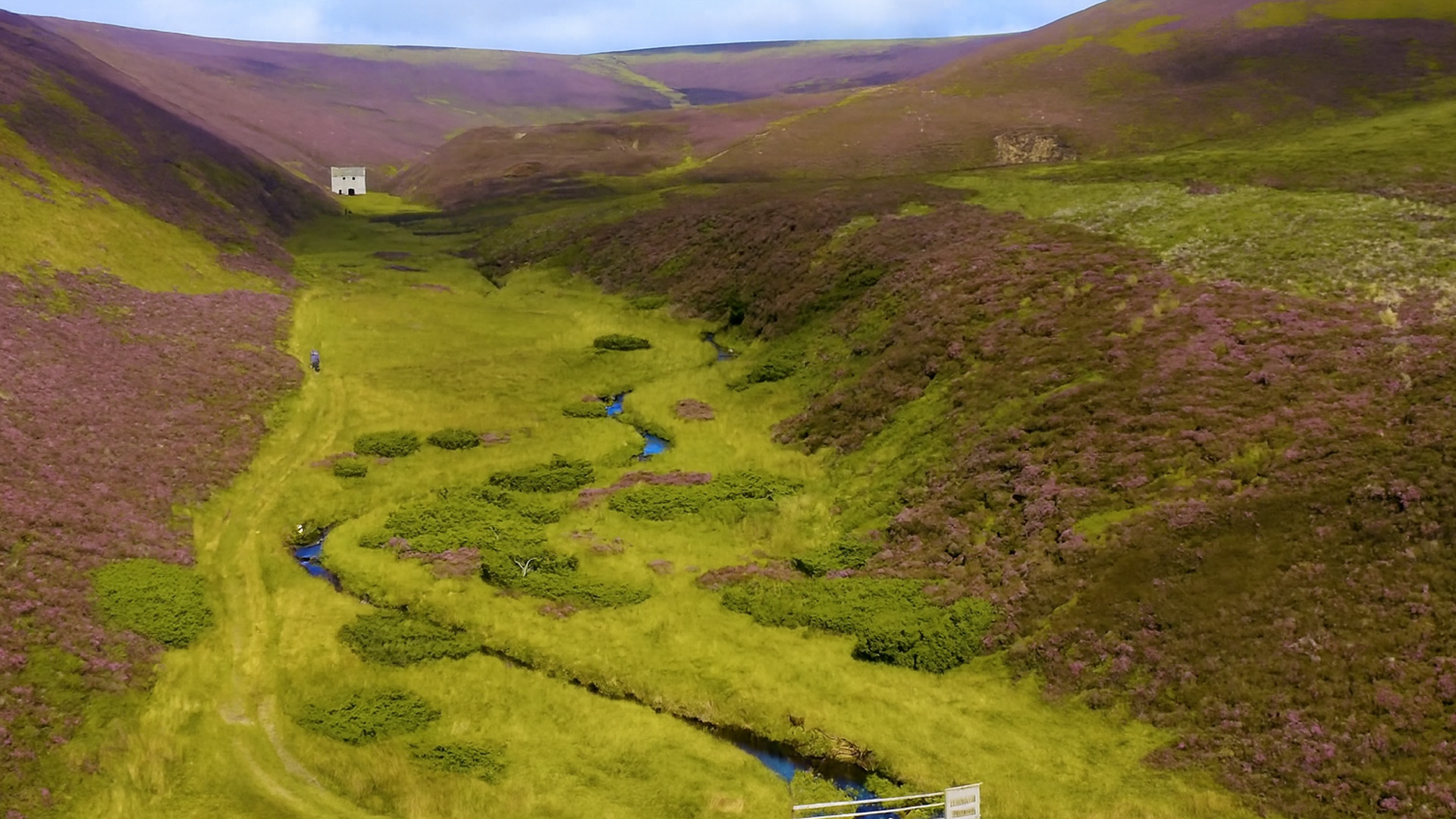 The valley of Heather