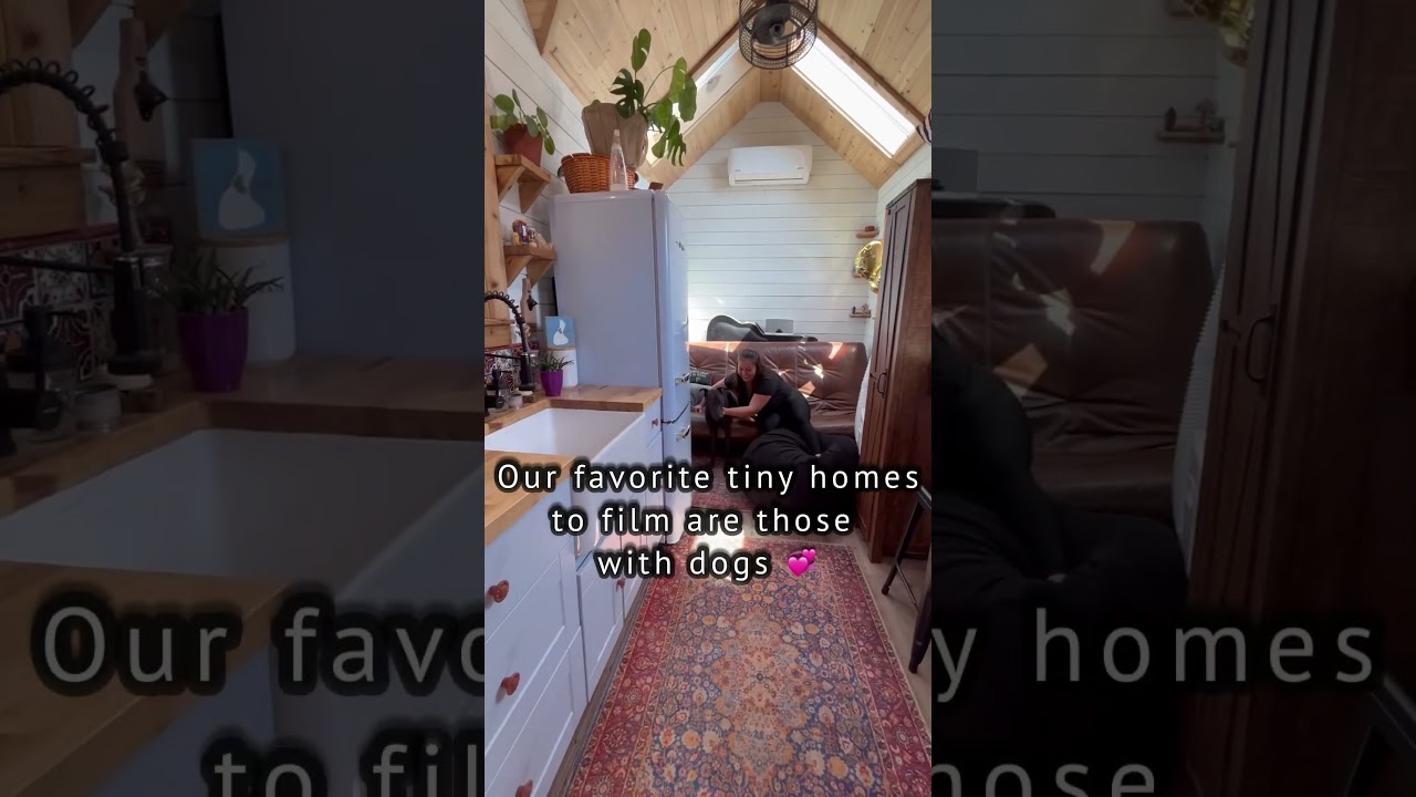 Tiny home dog love 💓🏡🐕‍🦺