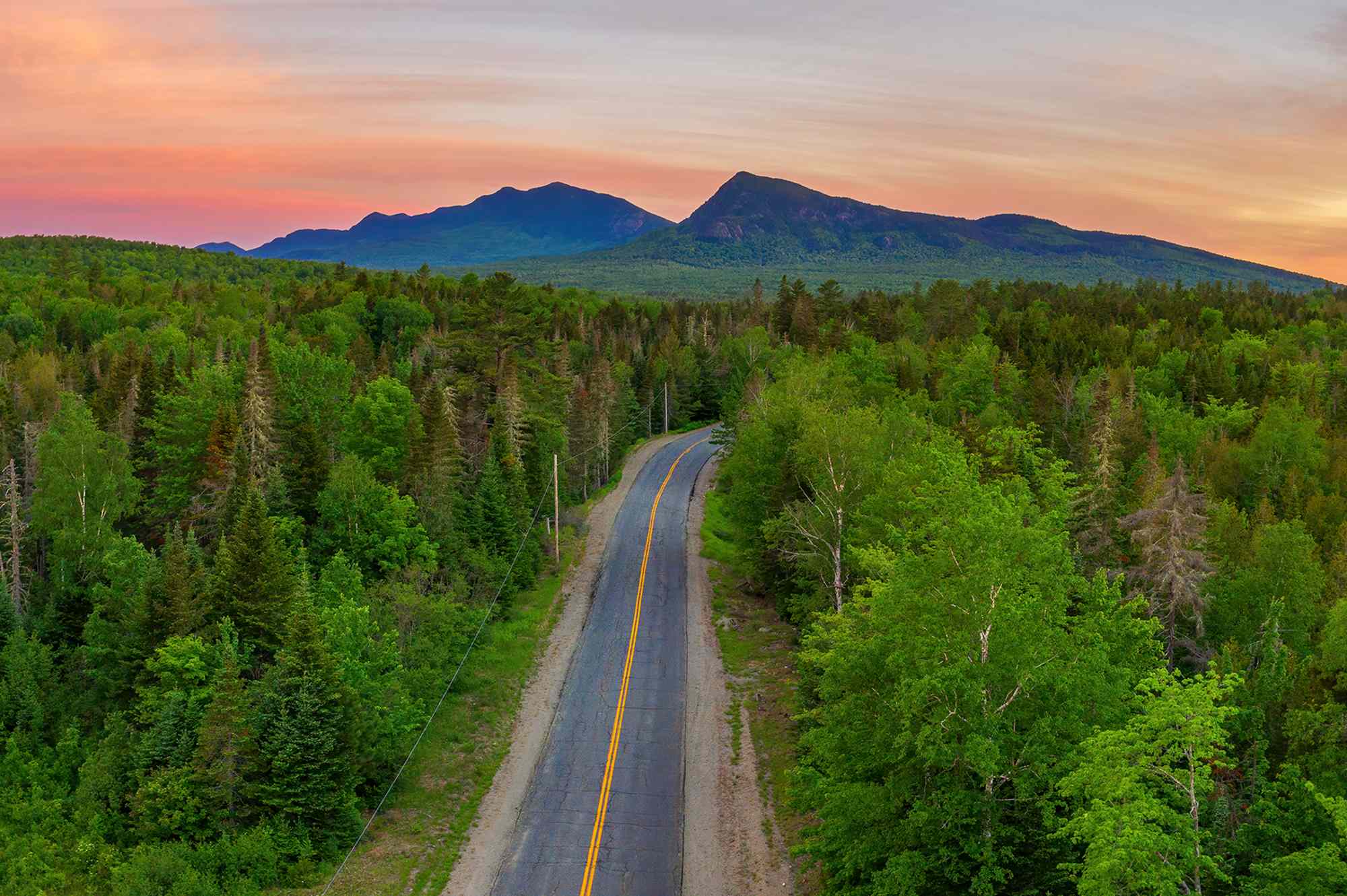 This is the most forest-covered state in the US.—and no, it’s not ...