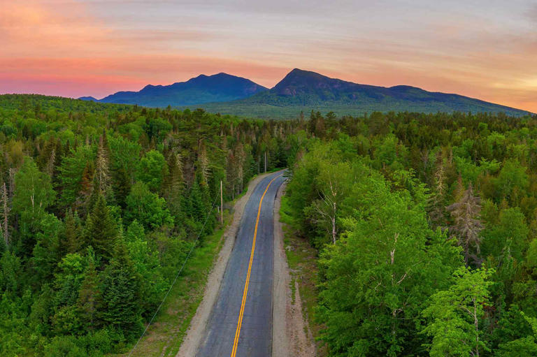 This is the most forest-covered state in the US.—and no, it’s not ...