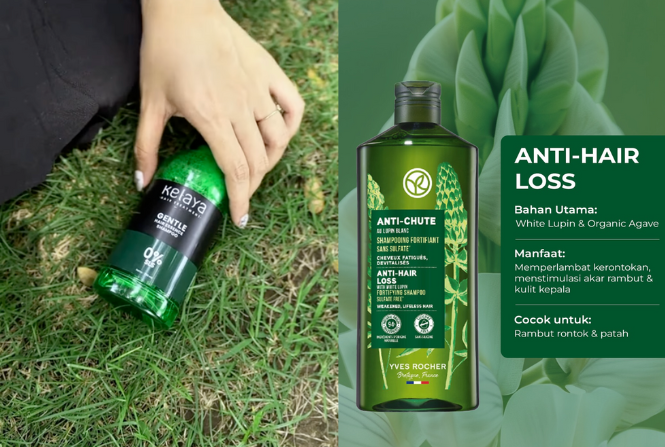 Shampoo non SLS untuk rambut rontok, kandungan dalam perawatan rambut ...