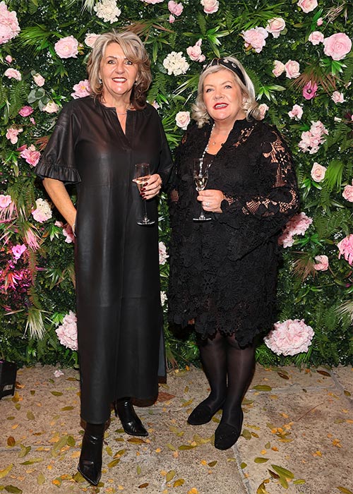 Elaine Crowley brings the festive sparkle at the Breast Cancer Ireland ...