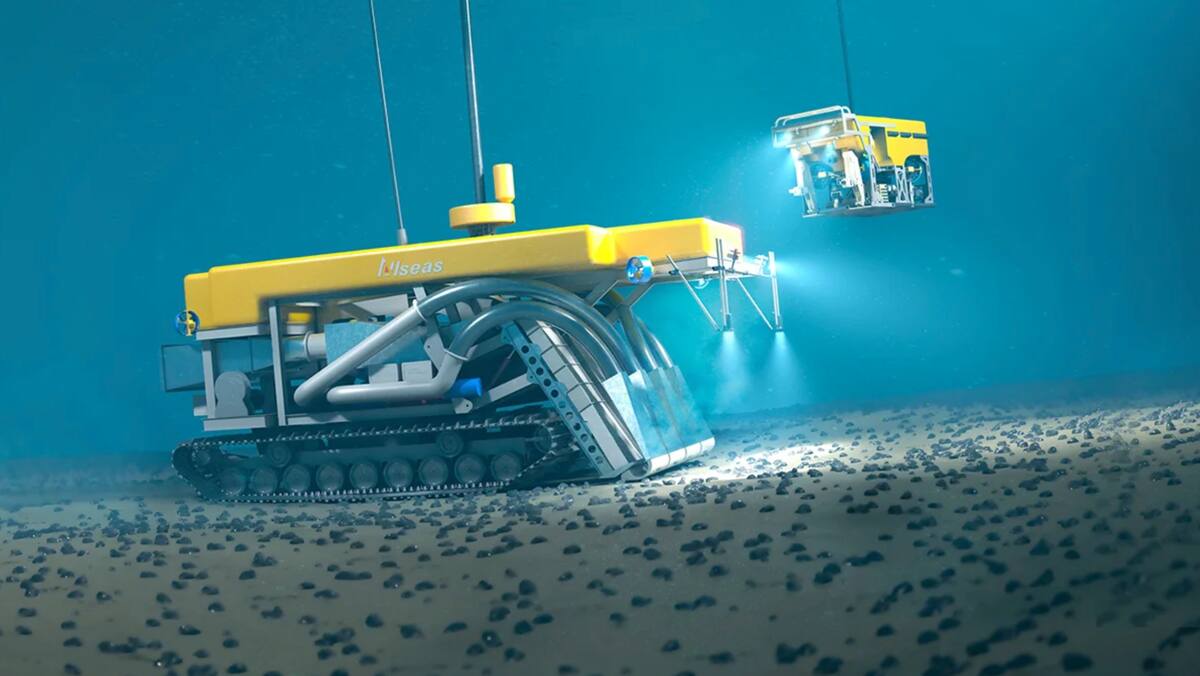 Un rapport accablant : L'exploitation minière en eaux profondes décime ...