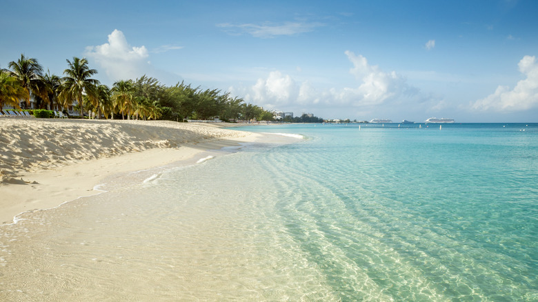 Why some tourists may not enjoy this iconic Grand Cayman activity ...