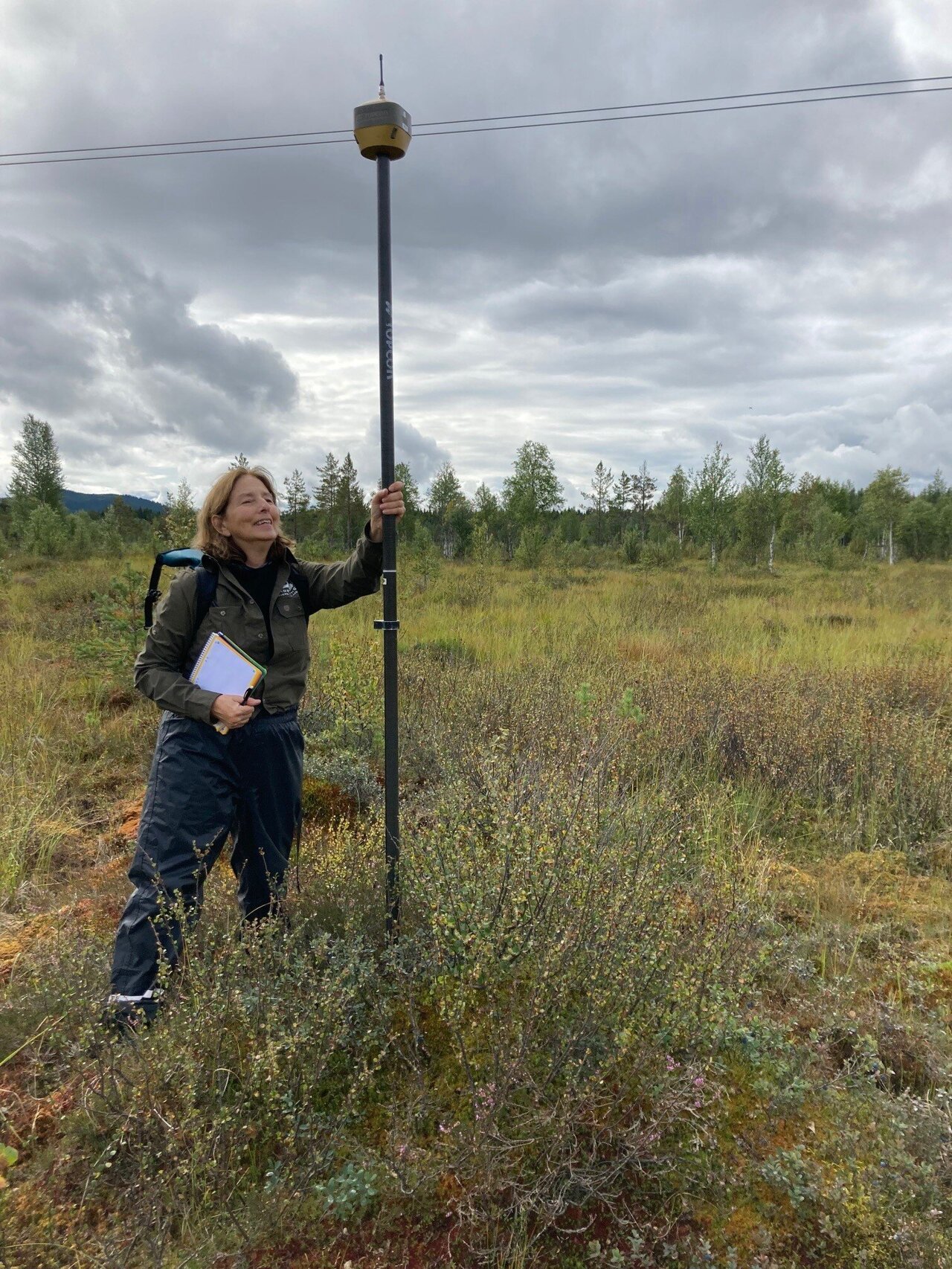 Climate change threatens Europe's remaining peatlands, study shows