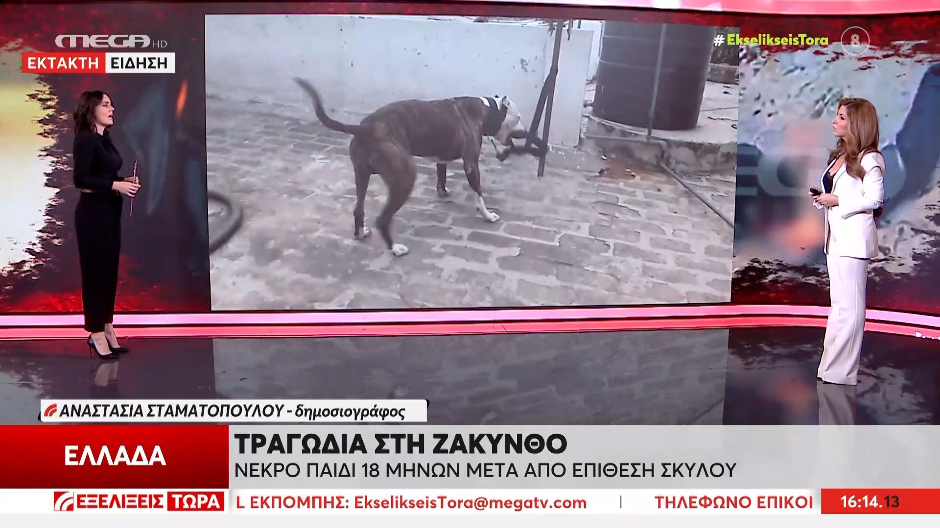 Ζάκυνθος: Νεκρό παιδί 18 μηνών από επίθεση σκύλου