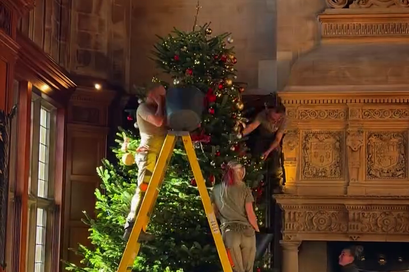 Dartmoor castle unveils Christmas showstopper in magical reveal