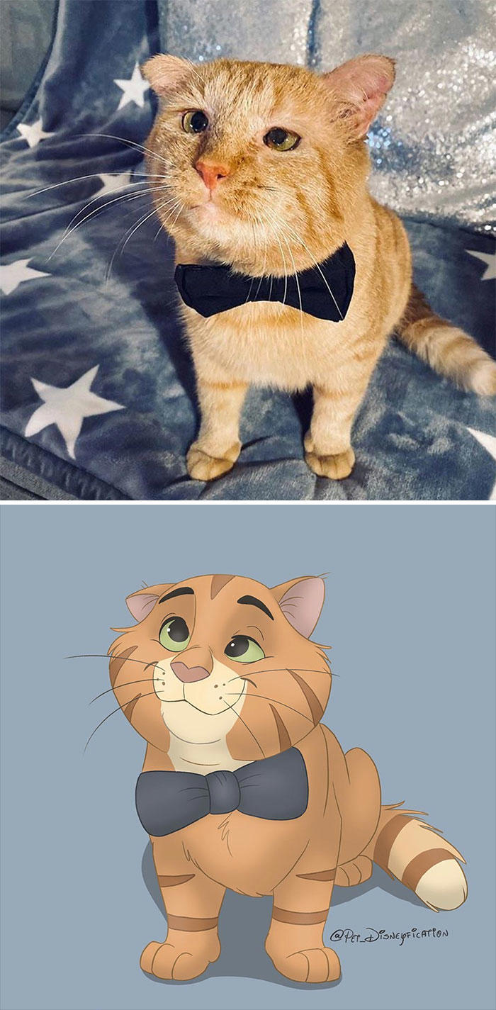 People send pics of their pets to this artist and she Disneyfies them ...