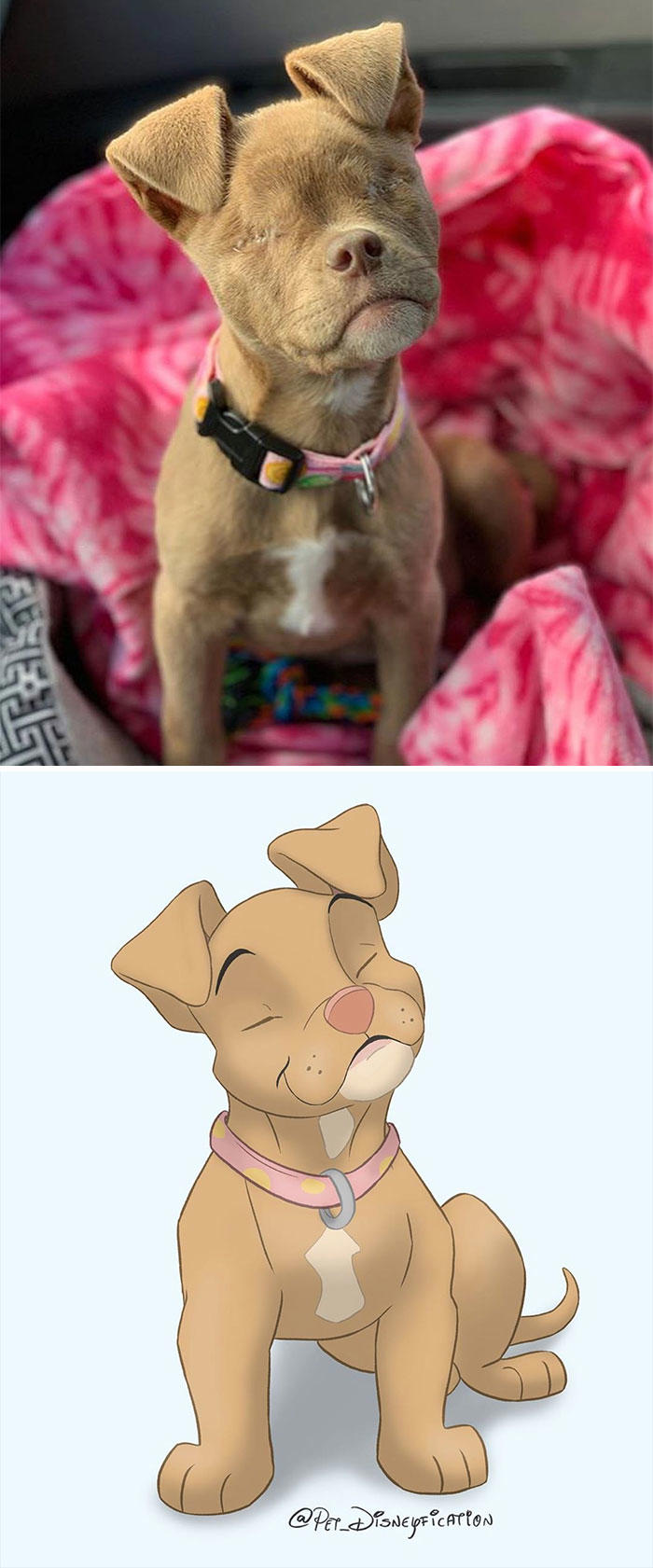 People send pics of their pets to this artist and she Disneyfies them ...