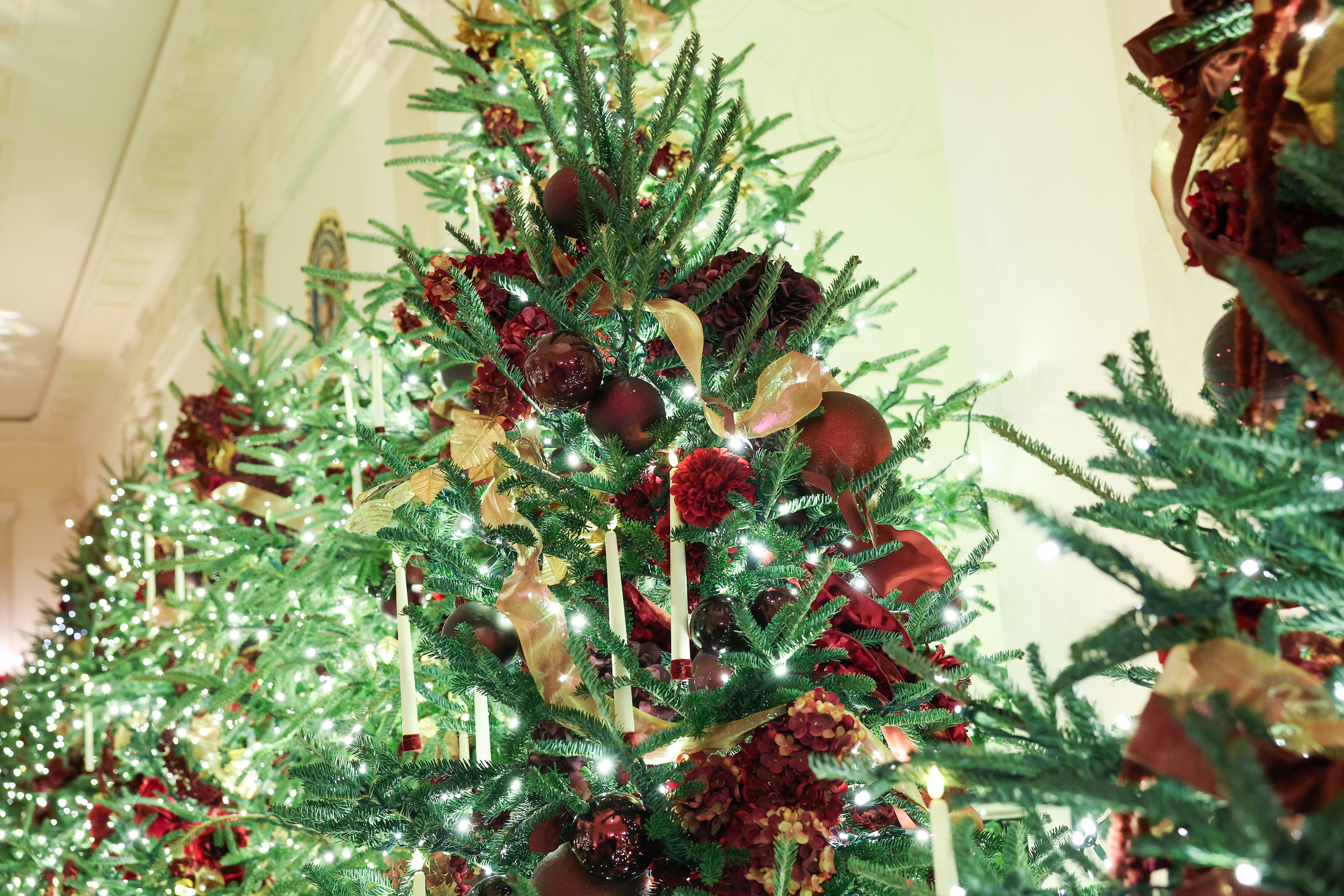 Donald Trump delivers Christmas tree cost savings for millions