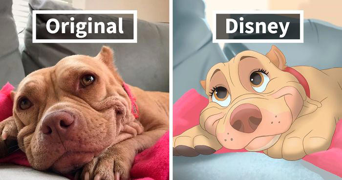 People send pics of their pets to this artist and she Disneyfies them ...