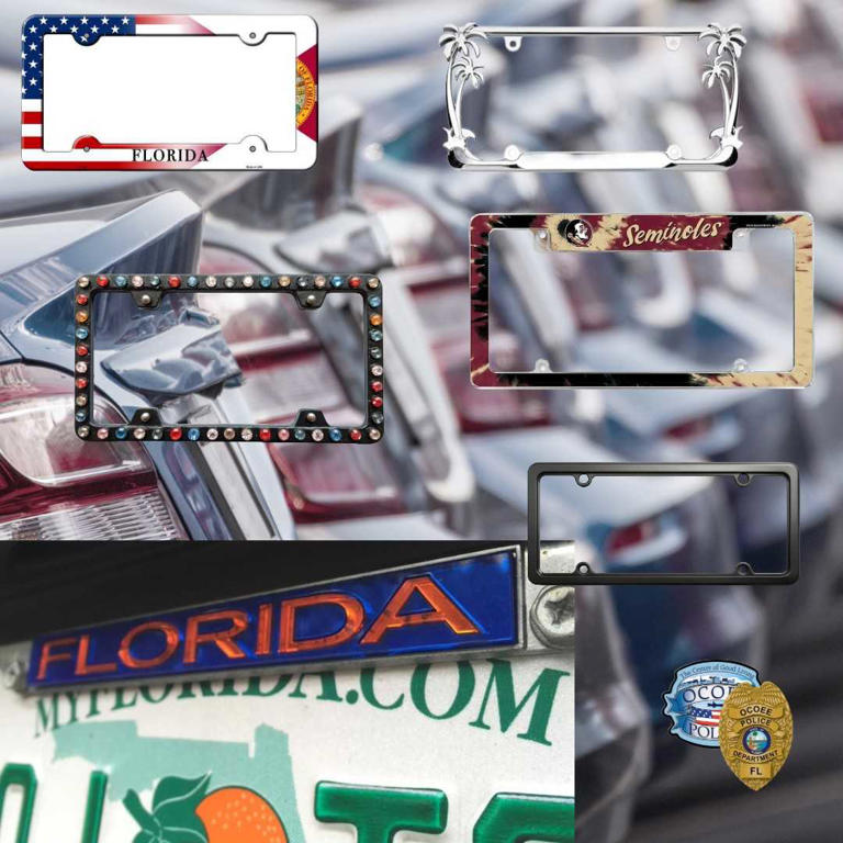 Violators of Florida license plate law could face $500 fine or jail time