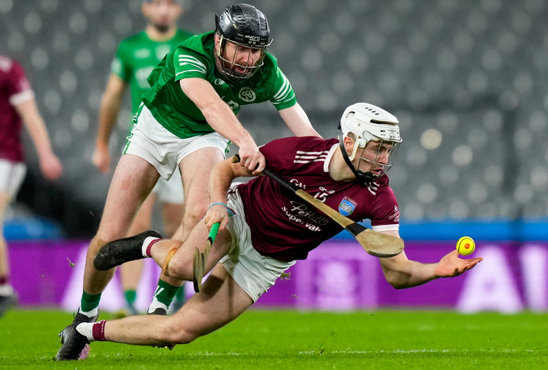 Wexford's St Martin's win Leinster hurling final thriller against ...