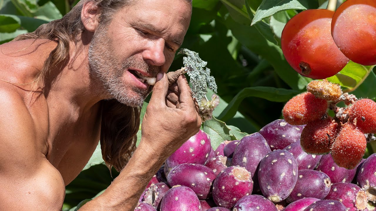 My top 5 wild edible foods by the hut