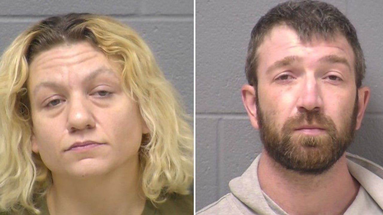 Baby’s remains found buried in Chicago suburb, 2 in custody, sheriff says