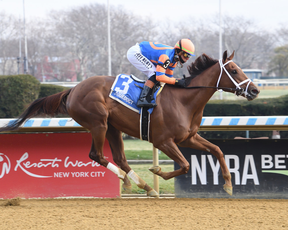 Dominant debut winner Zany tallies by wide margin in Demoiselle