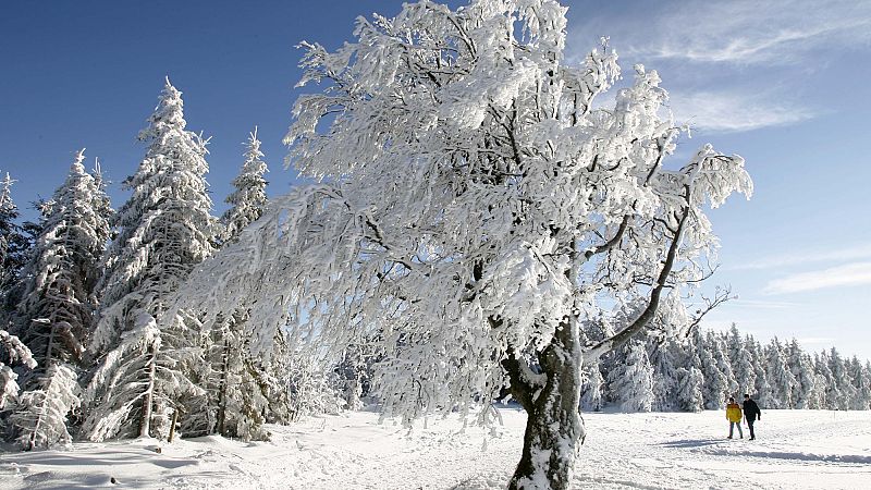 Is the winter of the century coming? Experts see chance of Arctic cold ...