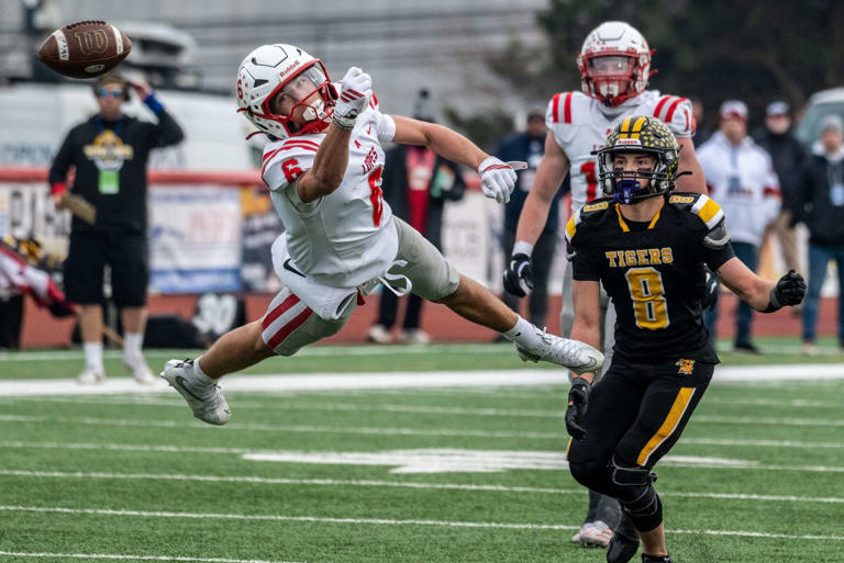 PIAA football championships: Avonworth exacts revenge over Northwestern ...