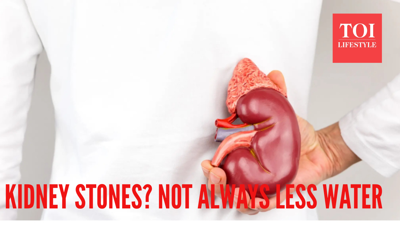 Kidney health alert: Low water intake is not the only reason behind ...
