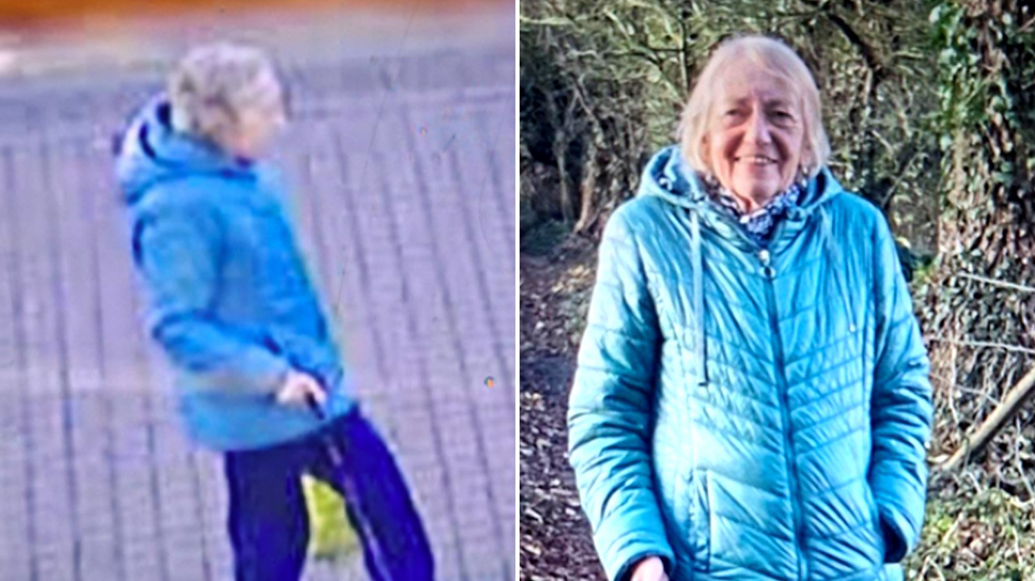 Search intensifies for missing Norwich woman, 79