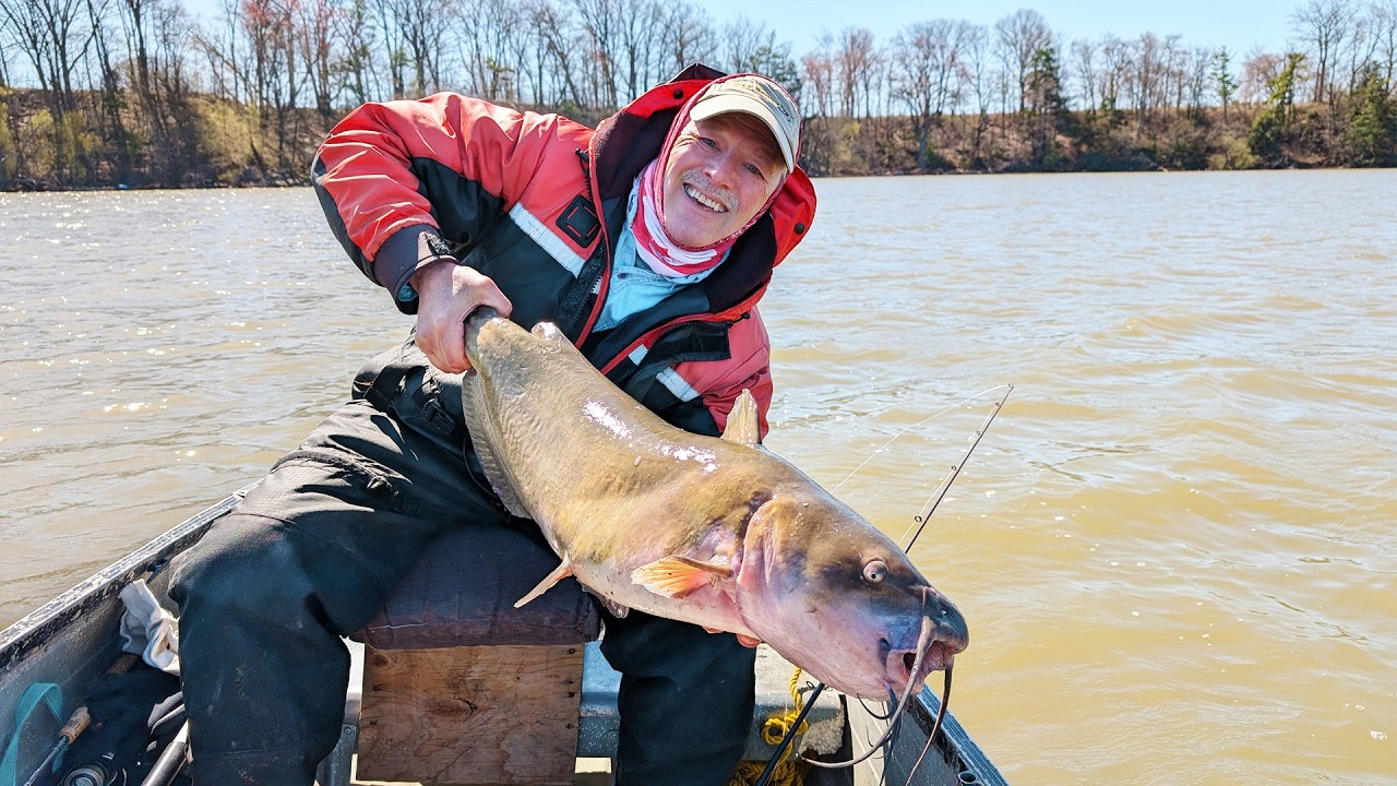 Big channel cat bite