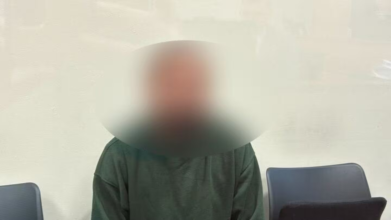 Indian-origin driver Satwinder Singh jailed for over 7 years in New ...