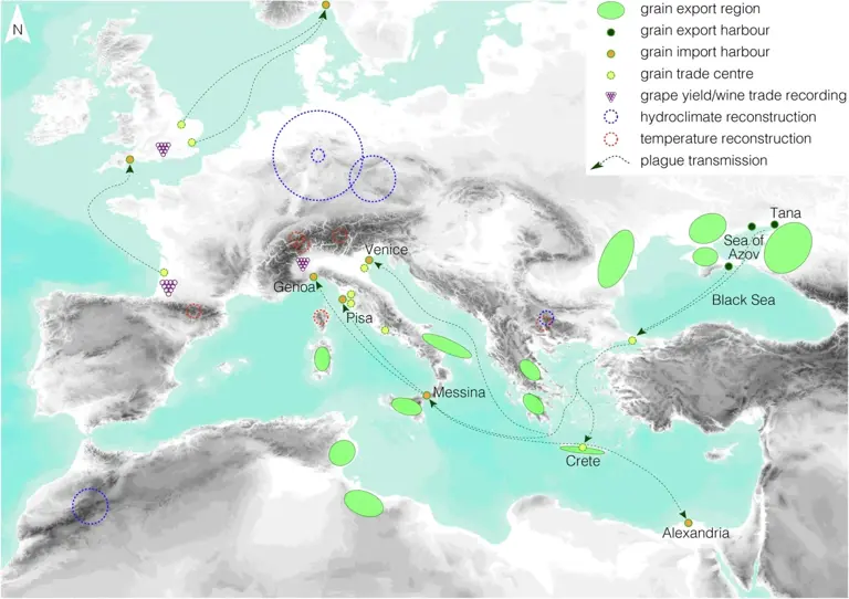 Scientists reveal what triggered the Black Death plague in Europe