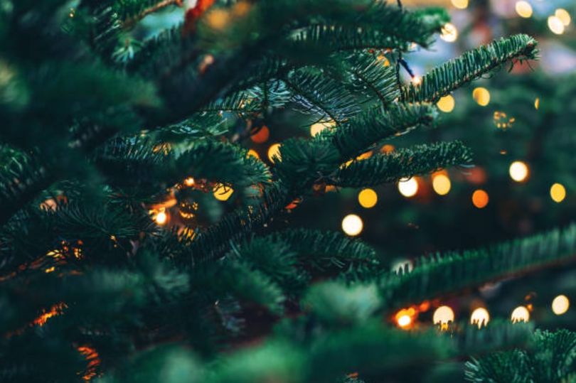 Warning for UK households making Christmas decoration mistake ahead of ...