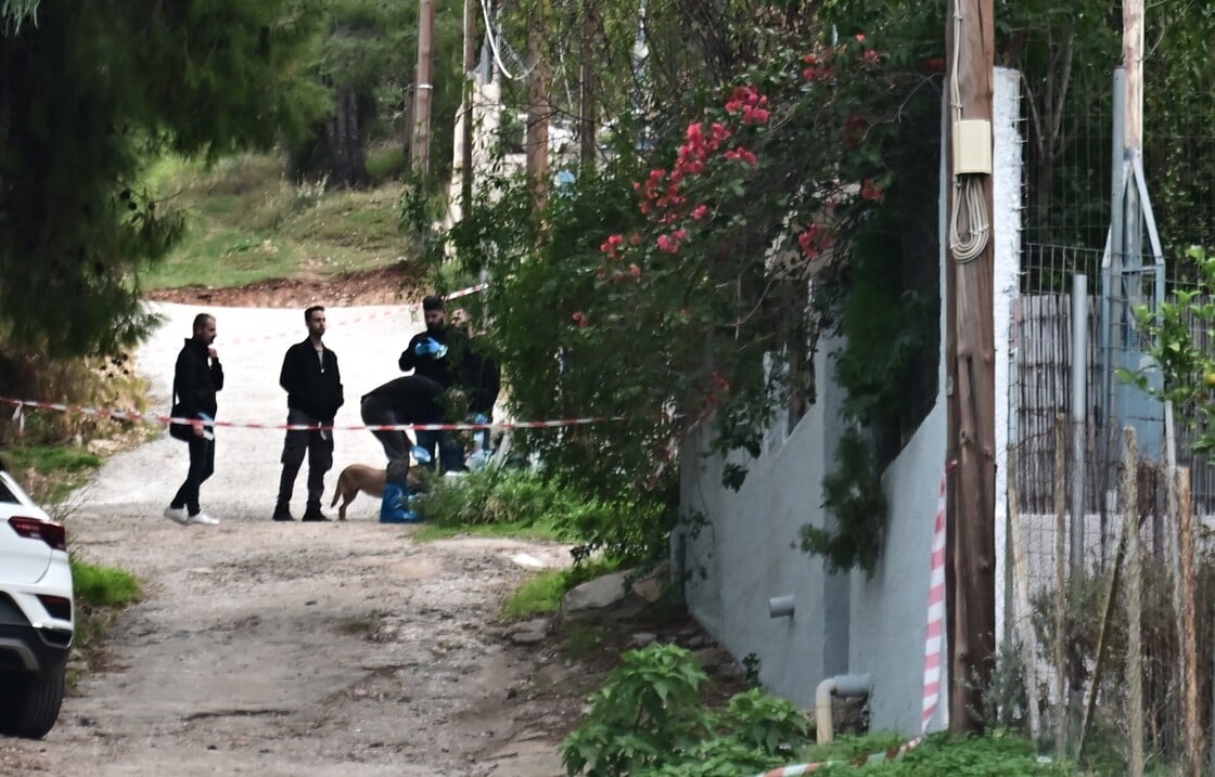 Δολοφονία στη Σαλαμίνα: Νέο ηχητικό ντοκουμέντο με την 75χρονη - «Σε ...