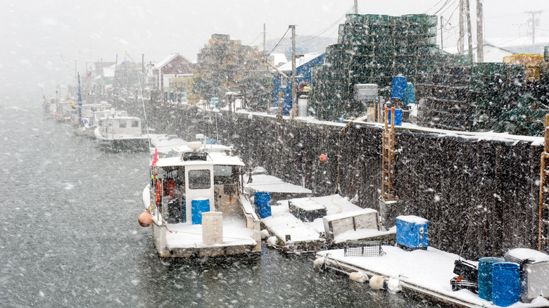 Ocean-effect snow: What you need to know about the weather phenomenon ...