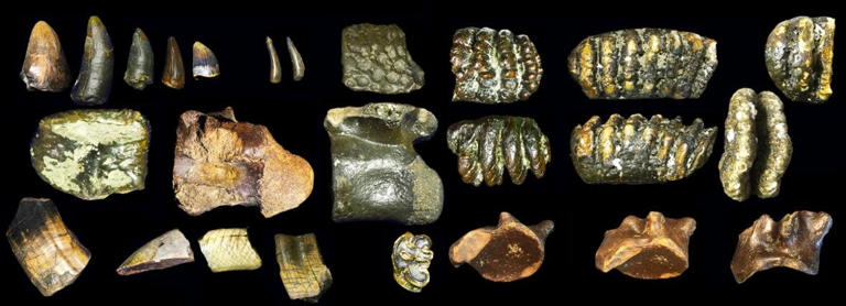 Buried beneath Java’s seabed, scientists just found something that’s ...