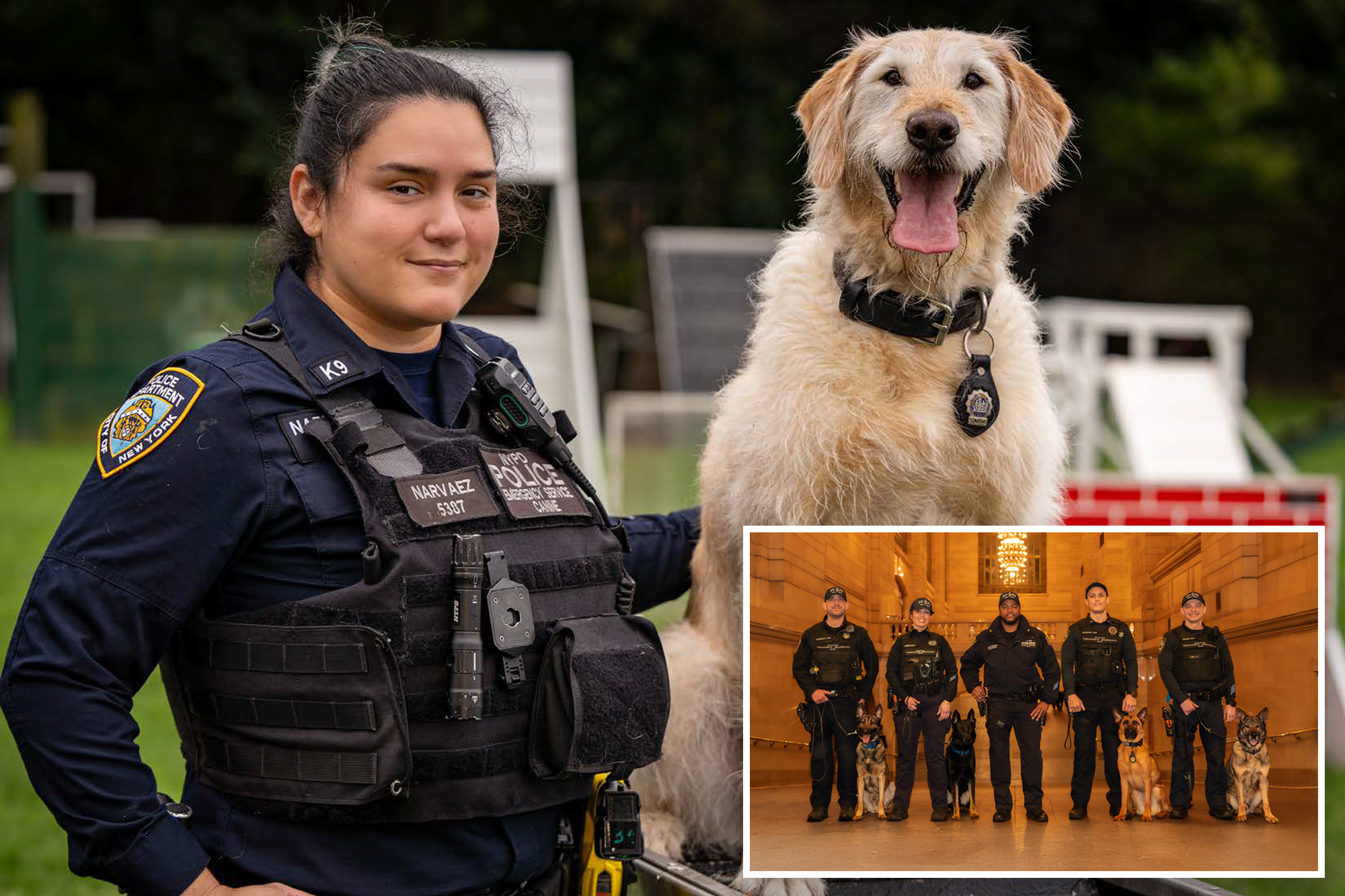 Take a bite out of NYC crime: New NYPD calendar highlights canine ...