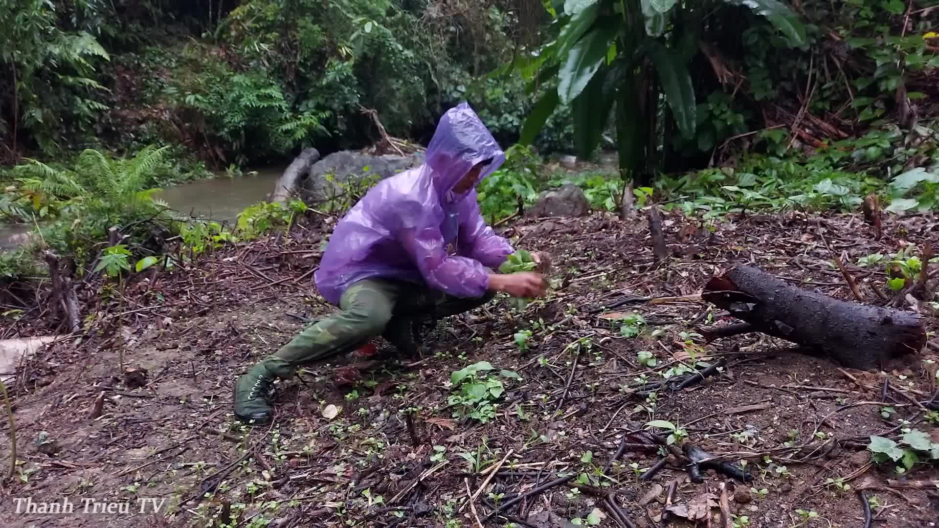 Complete wooden house build - stairs, doors & windows added