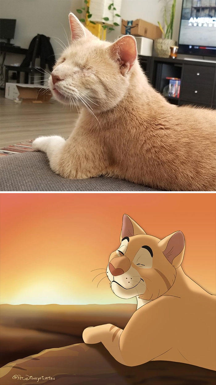 People send pics of their pets to this artist and she Disneyfies them ...