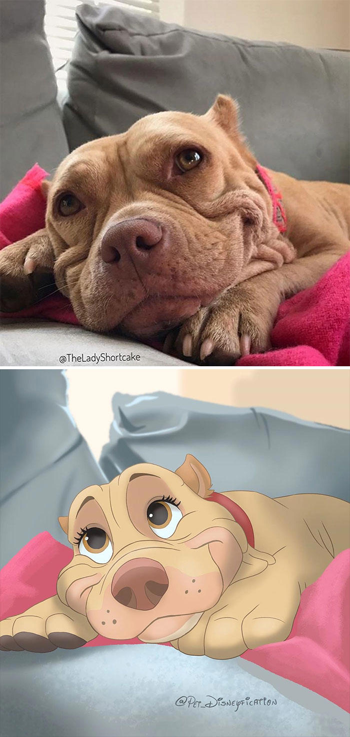 People send pics of their pets to this artist and she Disneyfies them ...