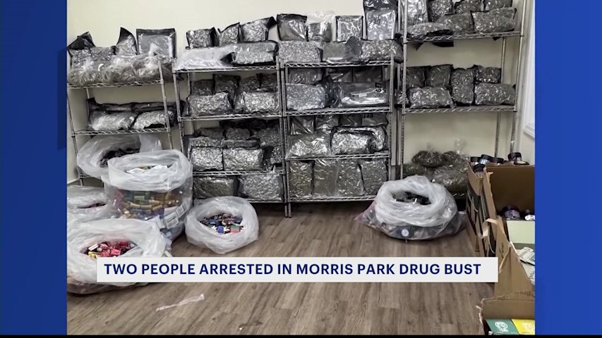 Hundreds of pounds of illegal cannabis seized in Bronx warehouse raid ...
