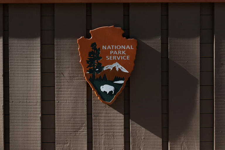 Trump finally hails MLK Jr Day after hours of posting about ICE raids