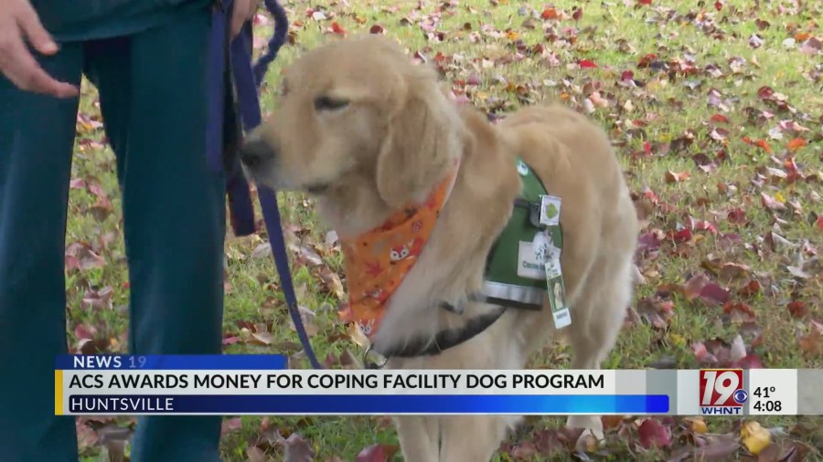 American Cancer Society awards $10K to Huntsville Hospital Foundation’s ...