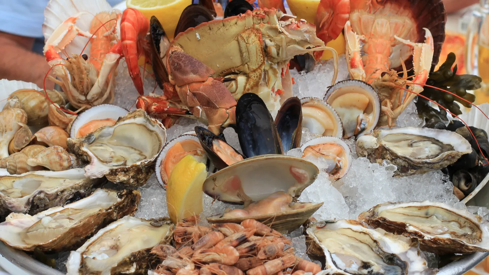 Must-visit Florida seafood buffets you won’t regret