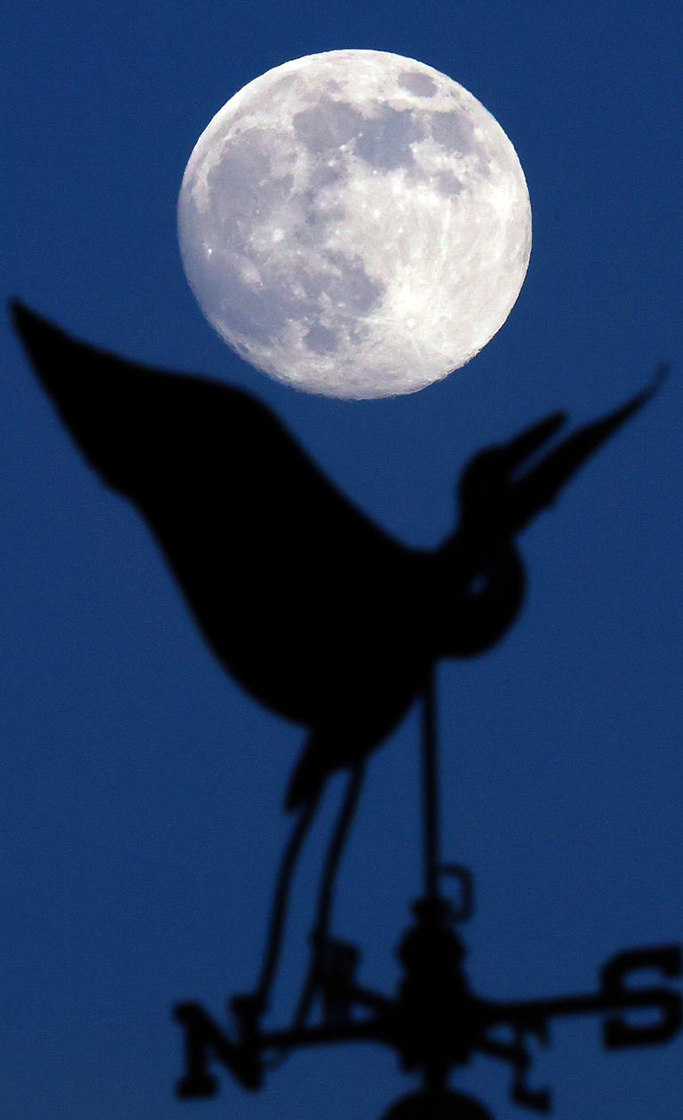 Photo | Supermoon in Santa Cruz signals near of winter solstice