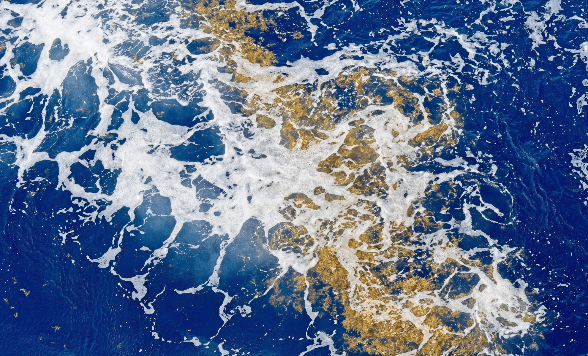 The only sea on Earth that has no shore – and it’s full of secrets