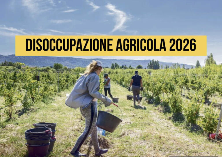 Disoccupazione agricola, pressing sull’INPS: chiesto l’anticipo dei ...